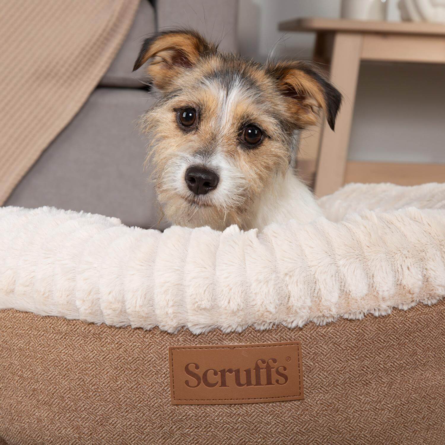 Buy Scruffs | Ellen 55cm Donut Bed - Tan – Potters Cookshop