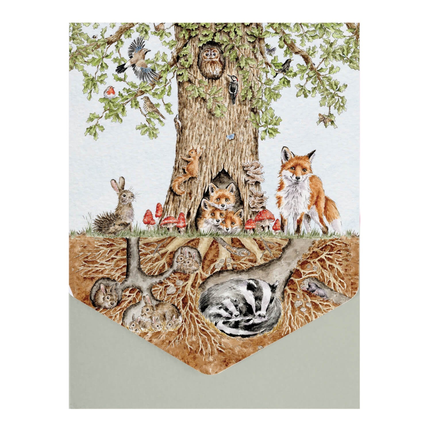 Buy Wrendale Designs | Nature Notecard Pack - Wild Woodland – Potters ...