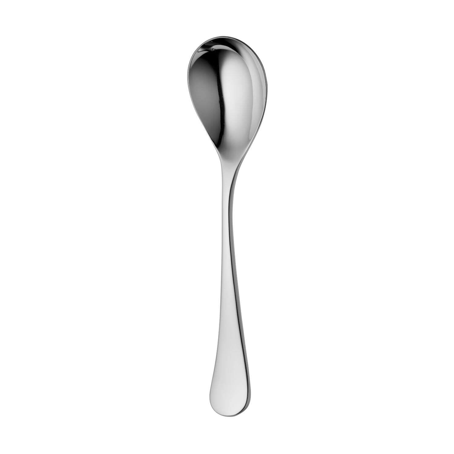 Buy Robert Welch | Ashbury Bright Stainless Steel Serving Spoon – Potters Cookshop