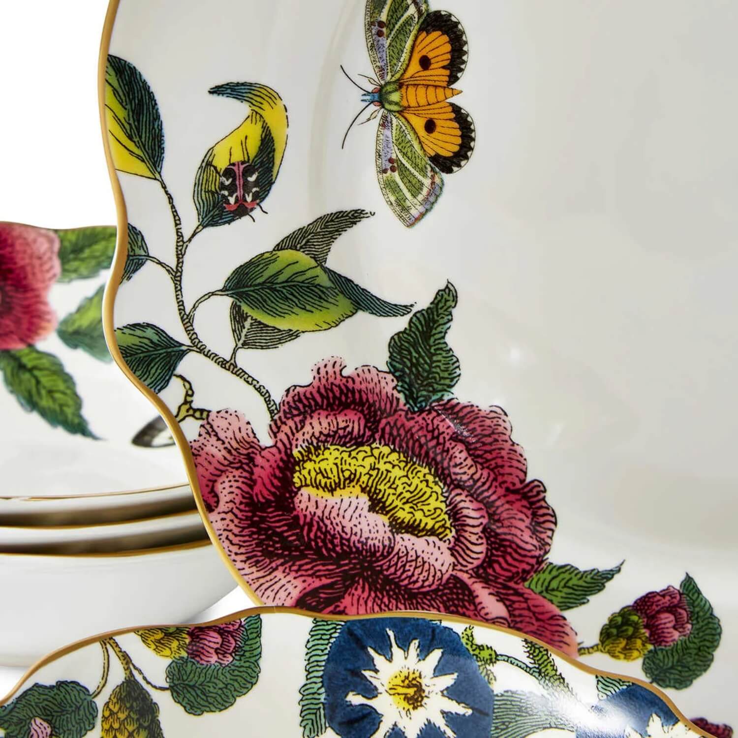 Buy Spode | Creatures of Curiosity Fine China 12-Piece Dinner Set ...