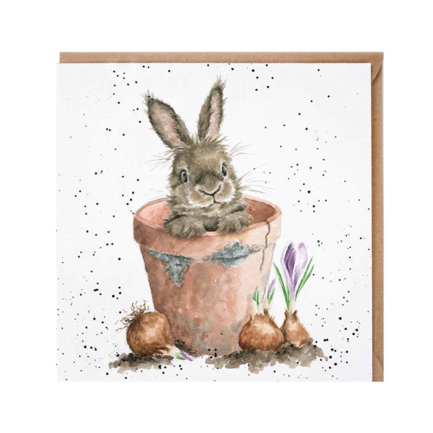 Buy Wrendale Designs | by Hannah Dale Card - The Flower Pot - Rabbit ...