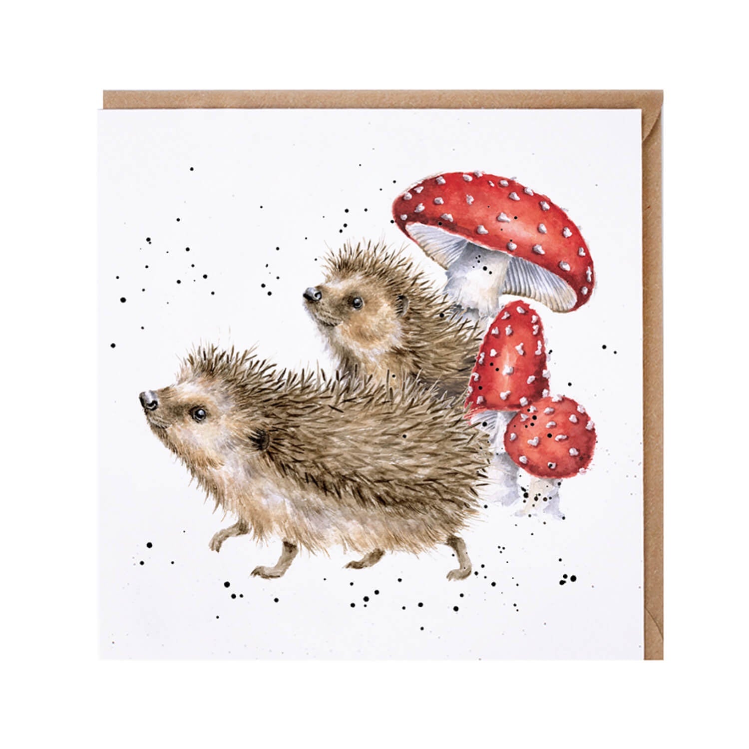 Buy Wrendale | Hannah Dale Card - A Prickly Adventure - Hedgehog ...