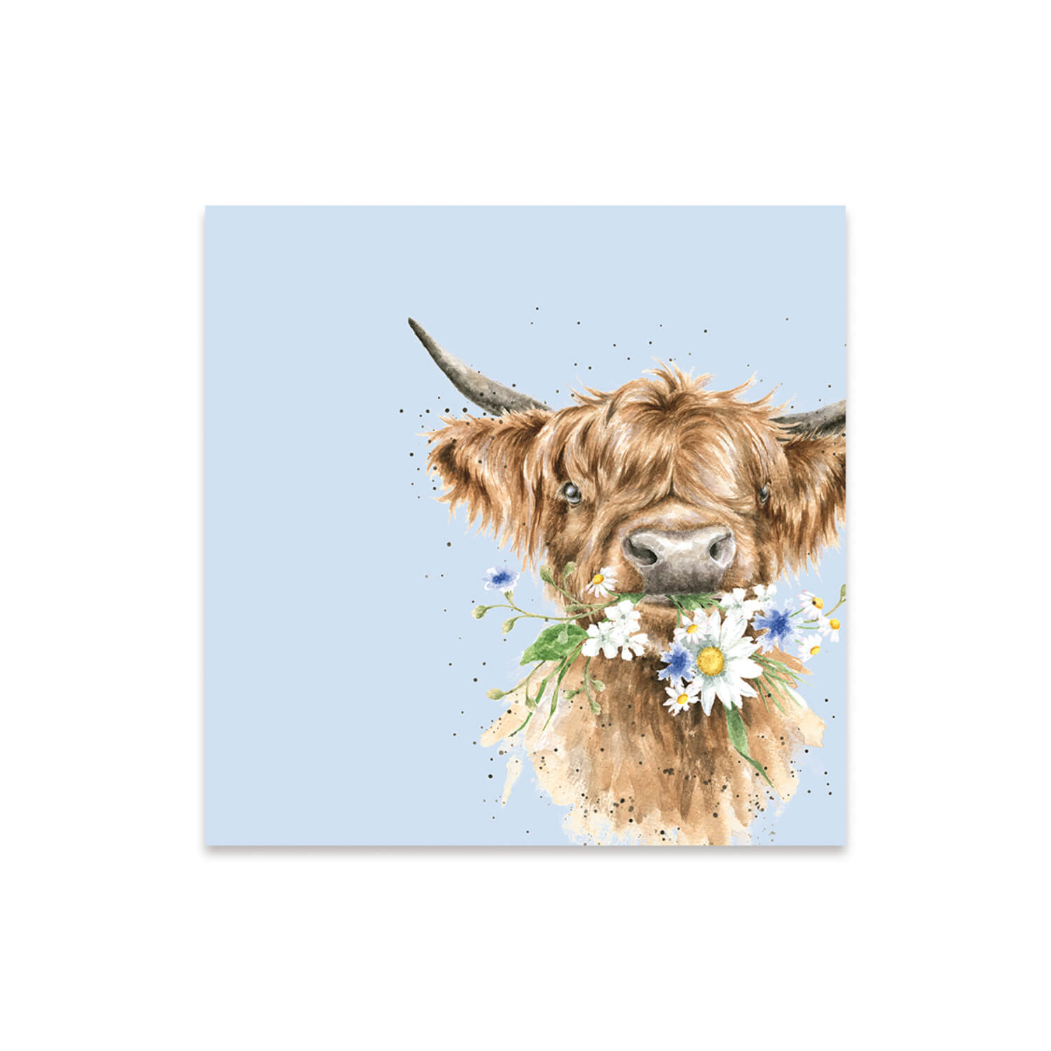 Buy Wrendale Designs | by Hannah Dale Cocktail Napkins - Daisy Coo ...