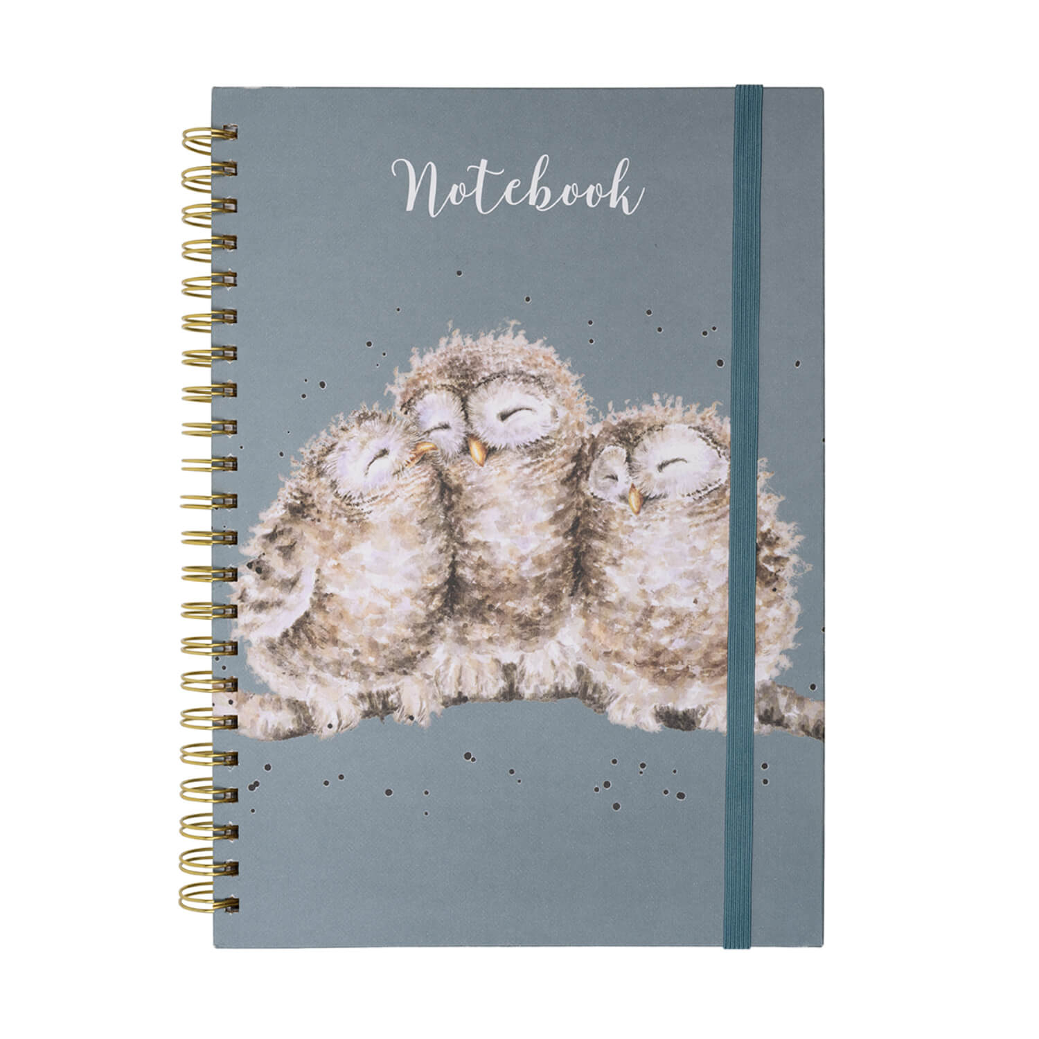 Buy Wrendale Designs | by Hannah Dale A4 Notebook - Owlets – Potters ...