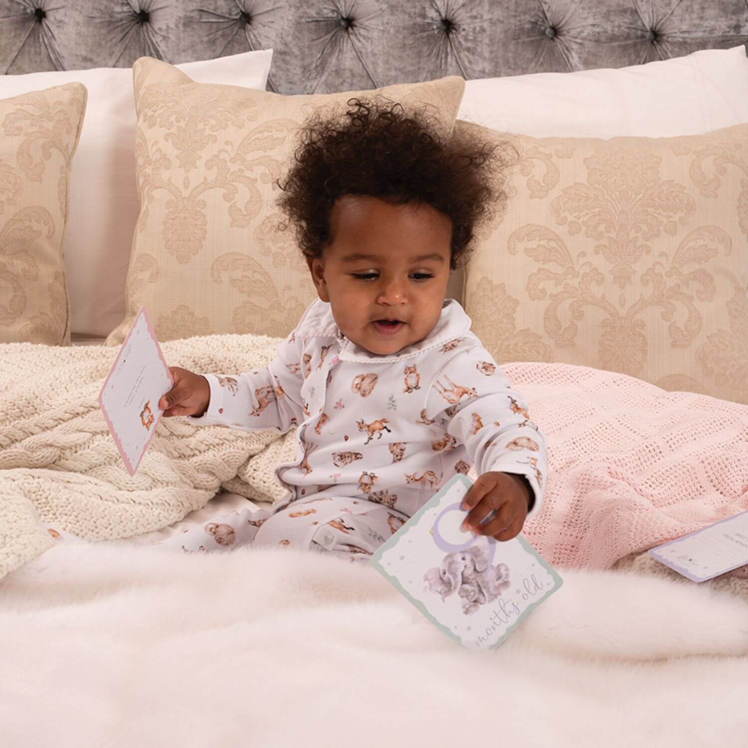 Buy Wrendale Designs | by Hannah Dale Little Wren Milestone Cards ...