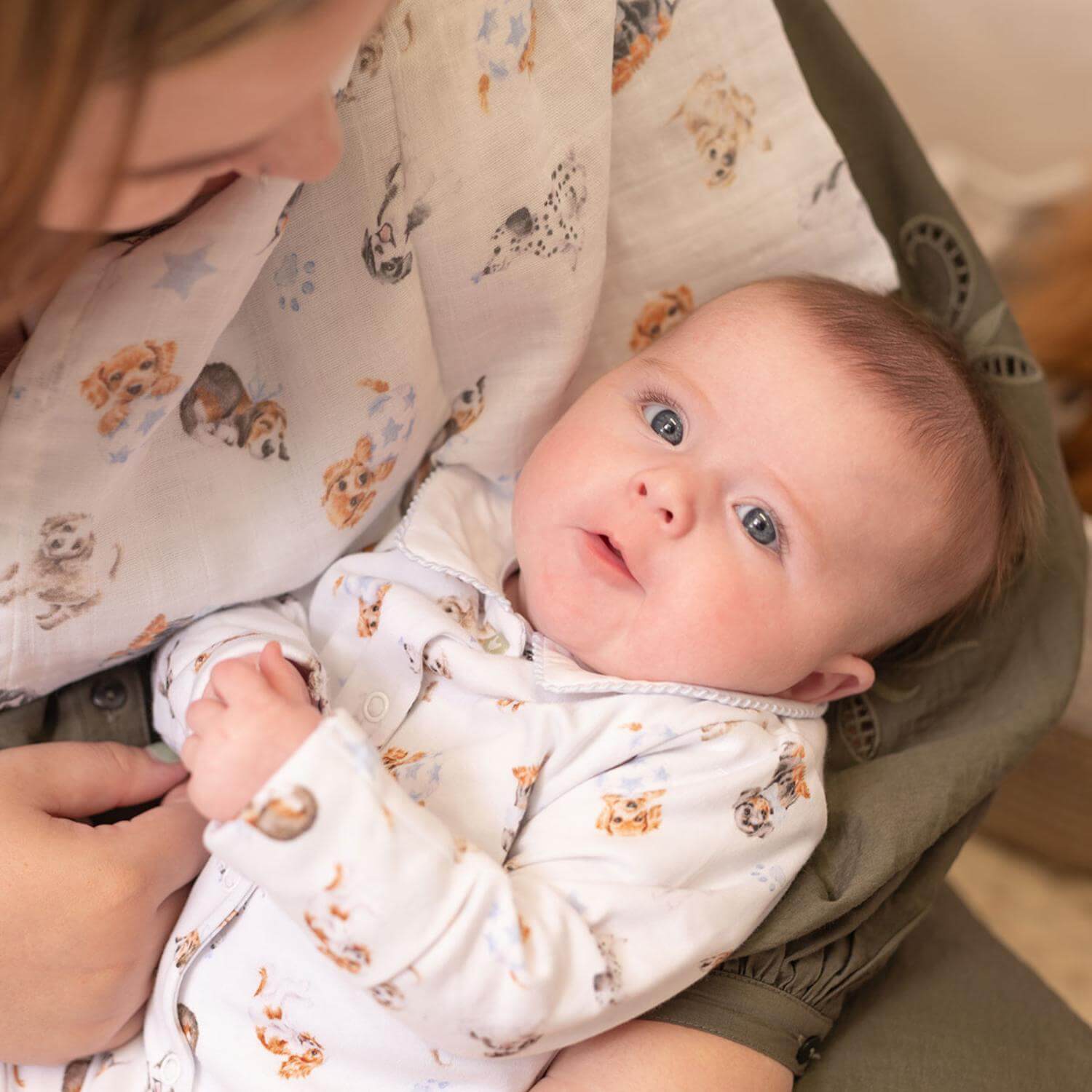 Buy Wrendale Designs | Little Wren Muslin Gift Set - Little Paws ...