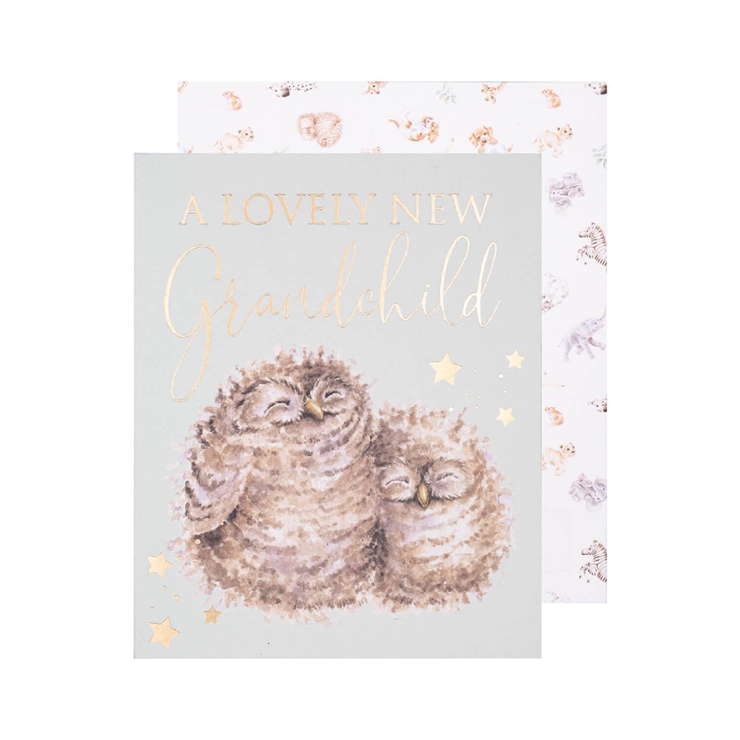 Buy Wrendale Designs | Little Wren Card - Words of Wisdom – Potters ...