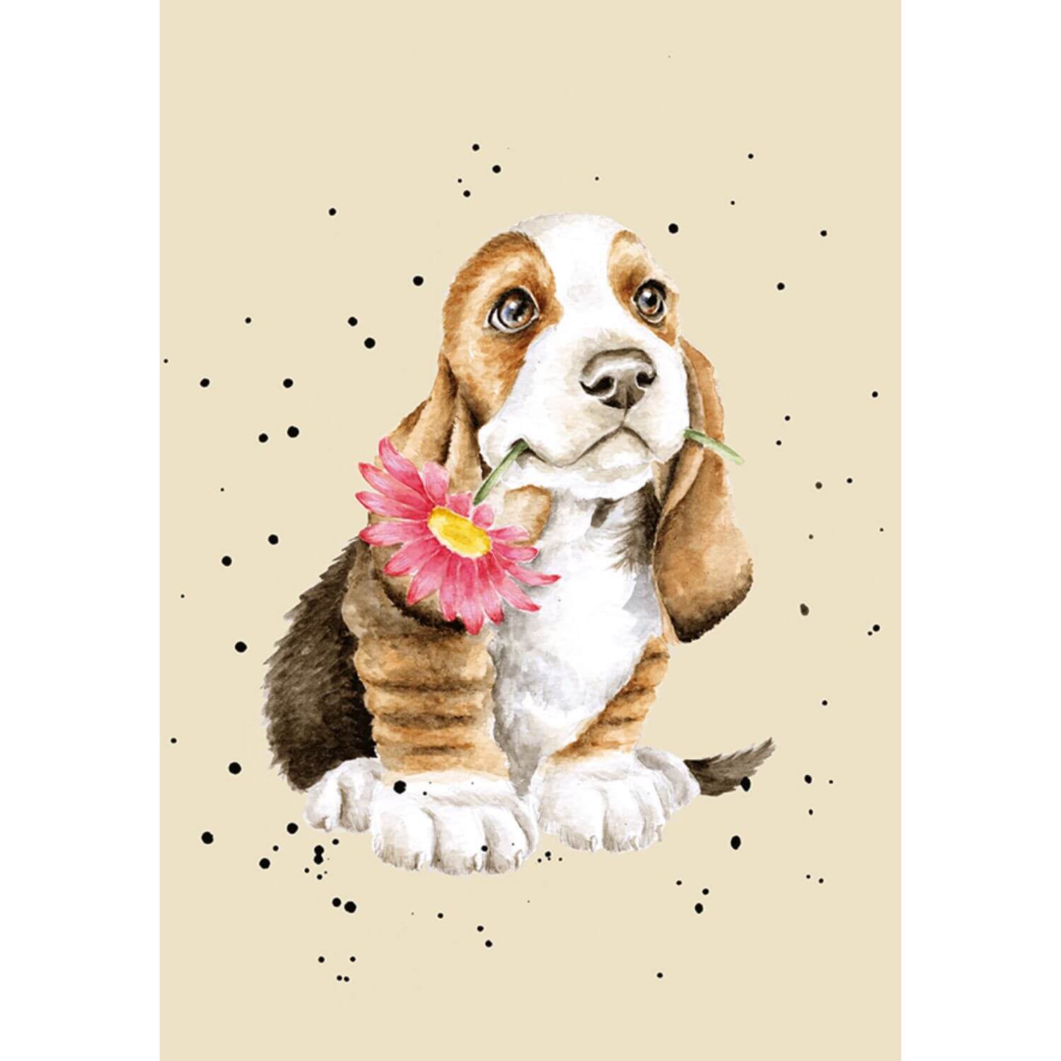 Buy Wrendale Designs | A6 Notebook - Just For You - Basset Hound ...