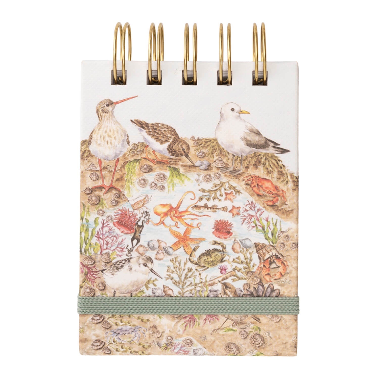 Buy Wrendale Designs | Nature Field Notebook - Secrets of the Sea ...