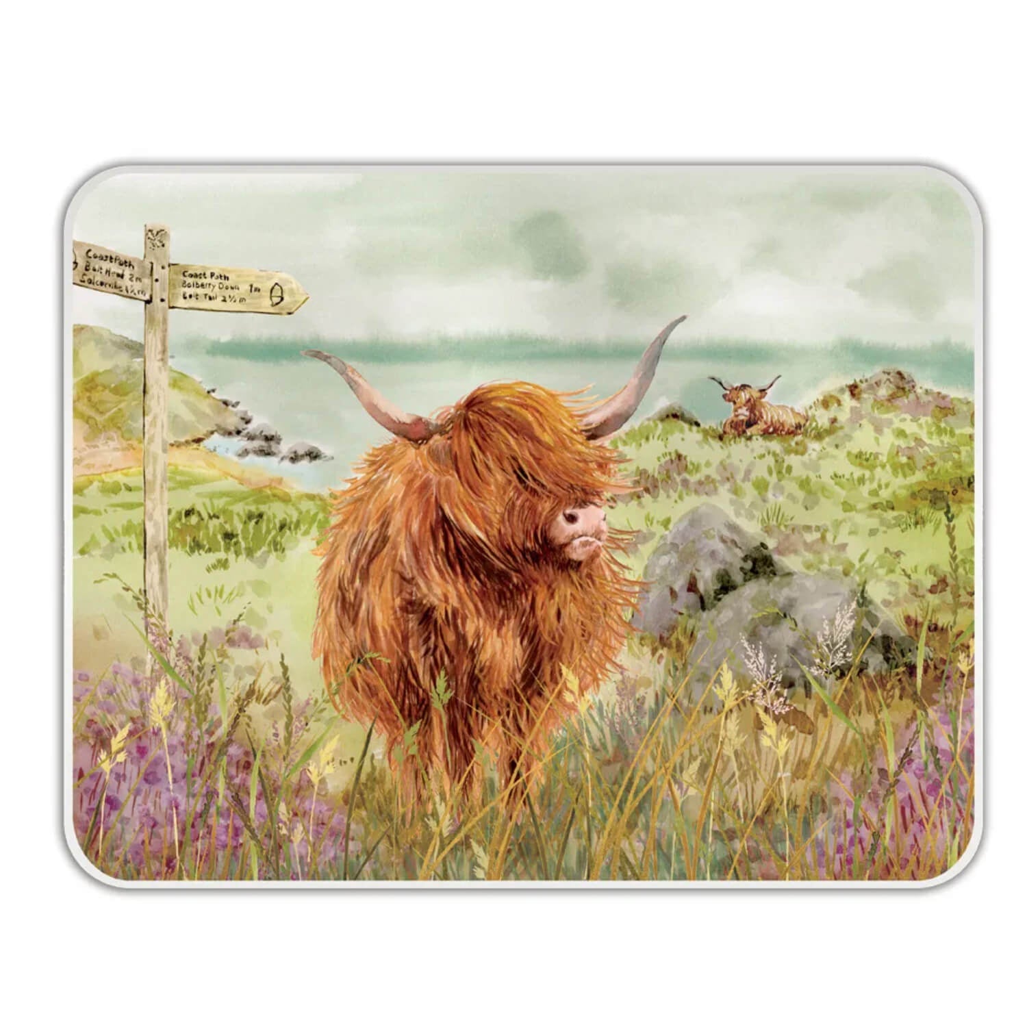 Buy National Trust | Large Glass Worktop Protector - Highland Cow ...