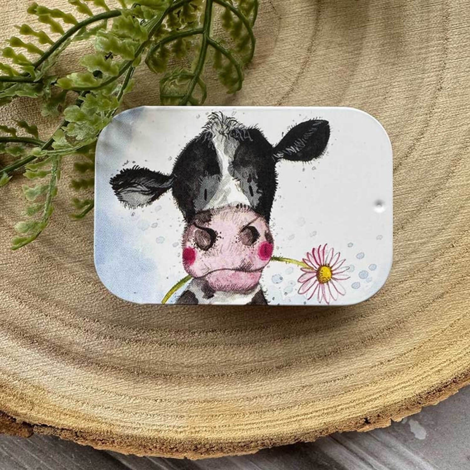 Buy Alex Clark | Small Sliding Tin - Sunshine Cow – Potters Cookshop