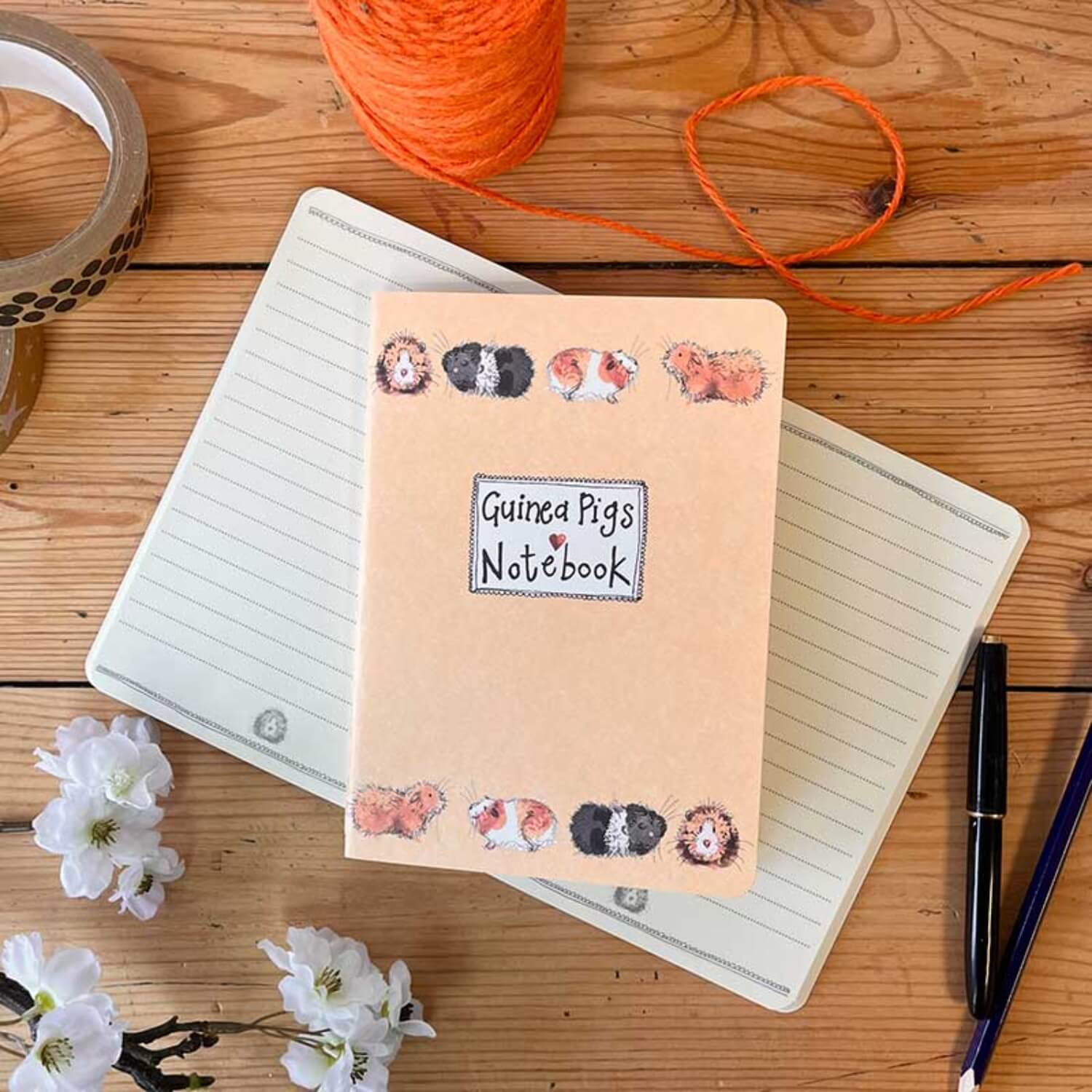 Buy Alex Clark | Medium Soft Notebook - Gorgeous Guinea Pigs – Potters ...