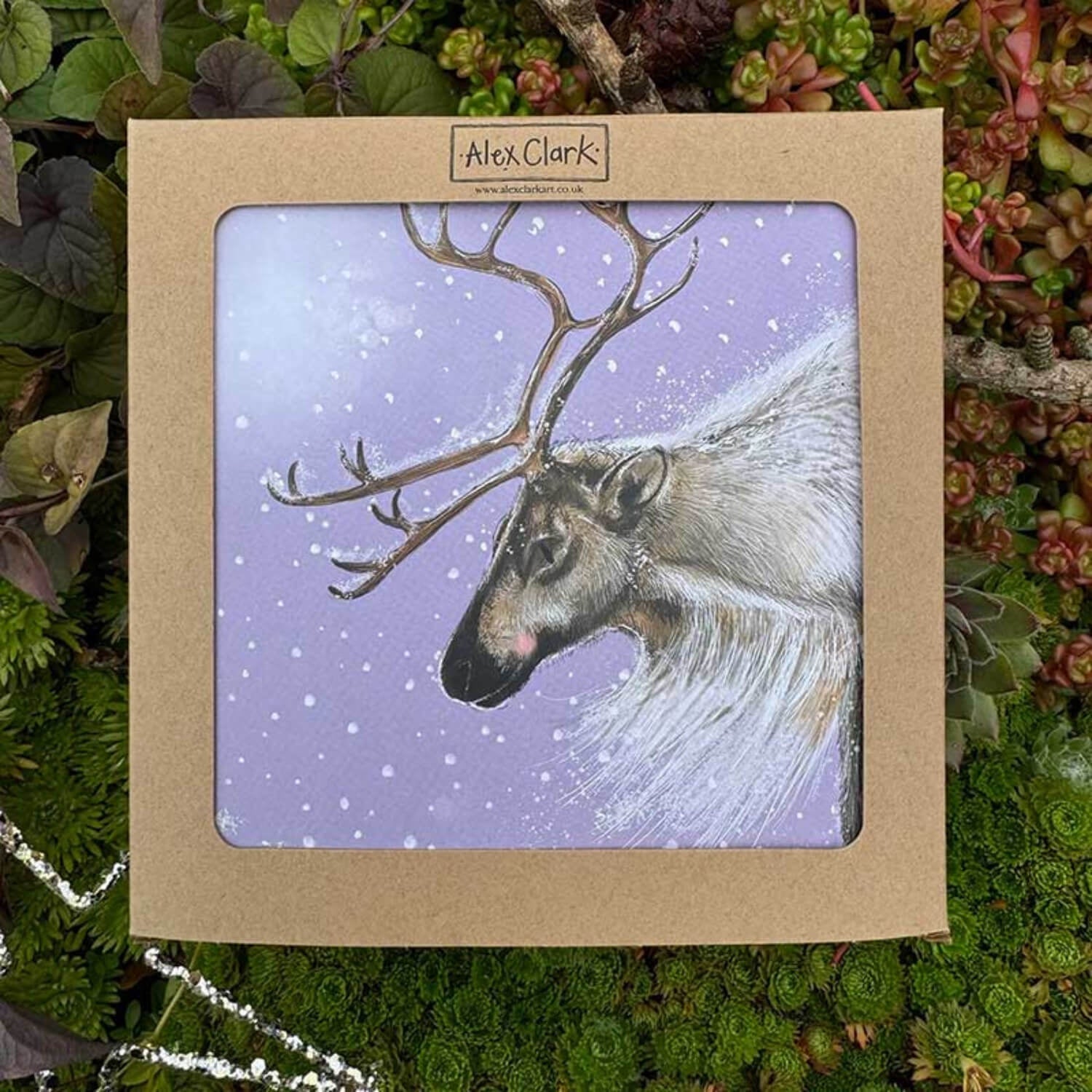 Buy Alex Clark | Pack Of 8 Christmas Cards - Reindeer – Potters Cookshop