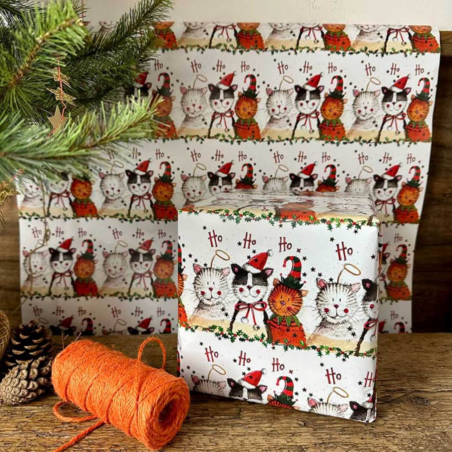 Buy Alex Clark | Christmas Gift Wrap & Tags - Cats – Potters Cookshop