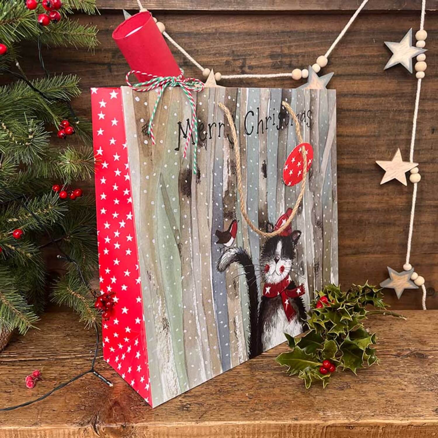 Buy Alex Clark | Christmas Large Gift Bag - Cat – Potters Cookshop