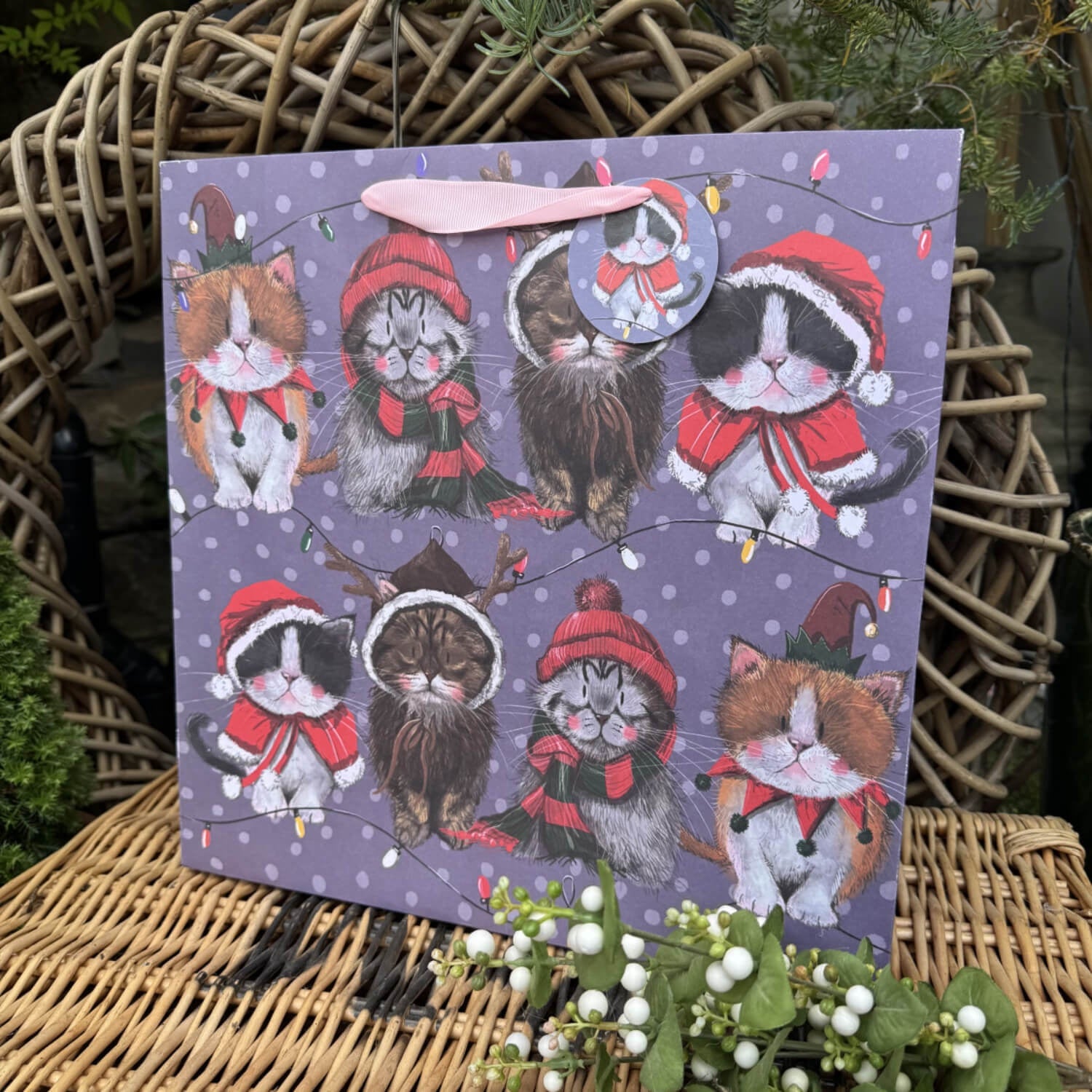 Buy Alex Clark | Christmas Large Gift Bag - Cats – Potters Cookshop