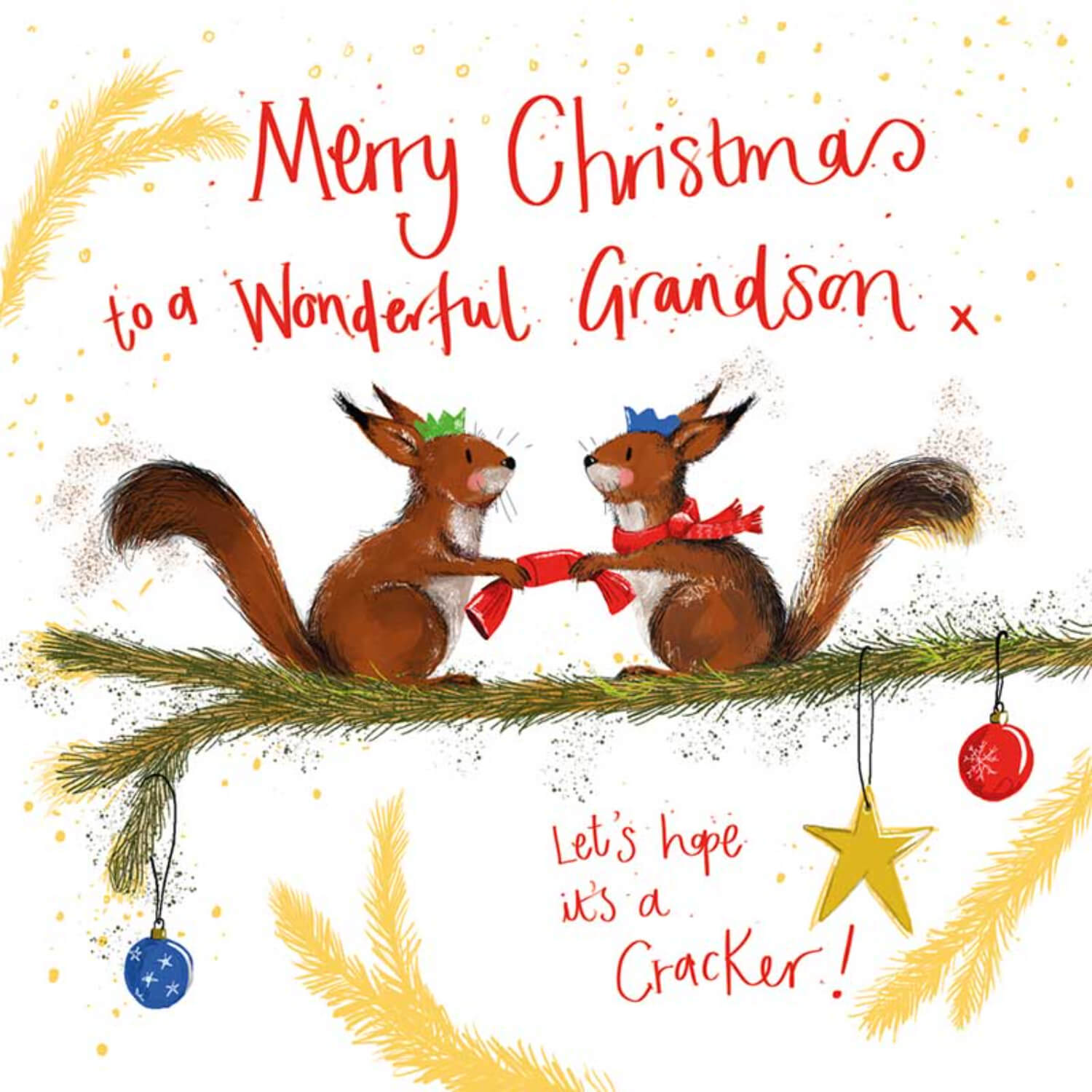 Buy Alex Clark | Christmas Card - Wonderful Grandson - Squirrels ...