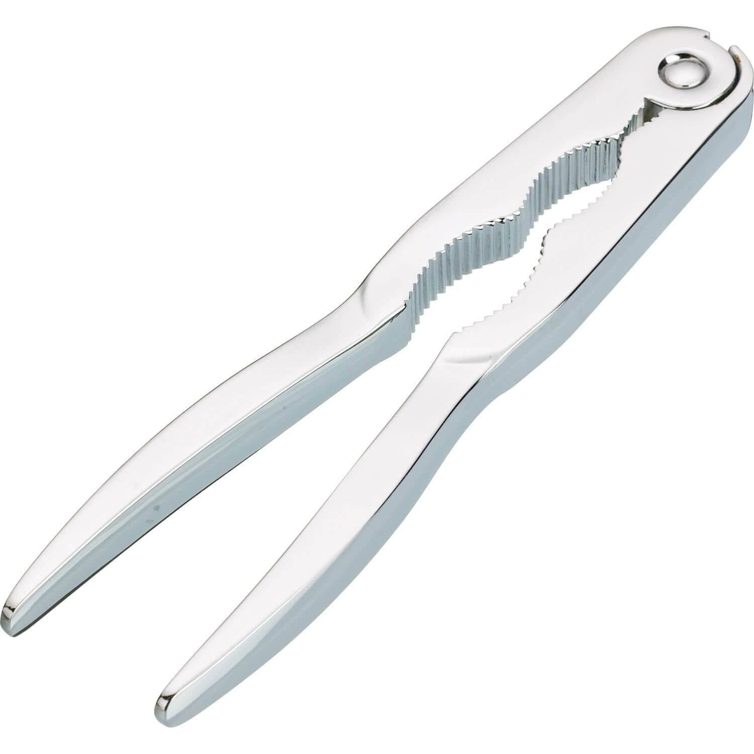 Buy MasterClass | Deluxe Spring Loaded Stainless Steel Nut Cracker ...