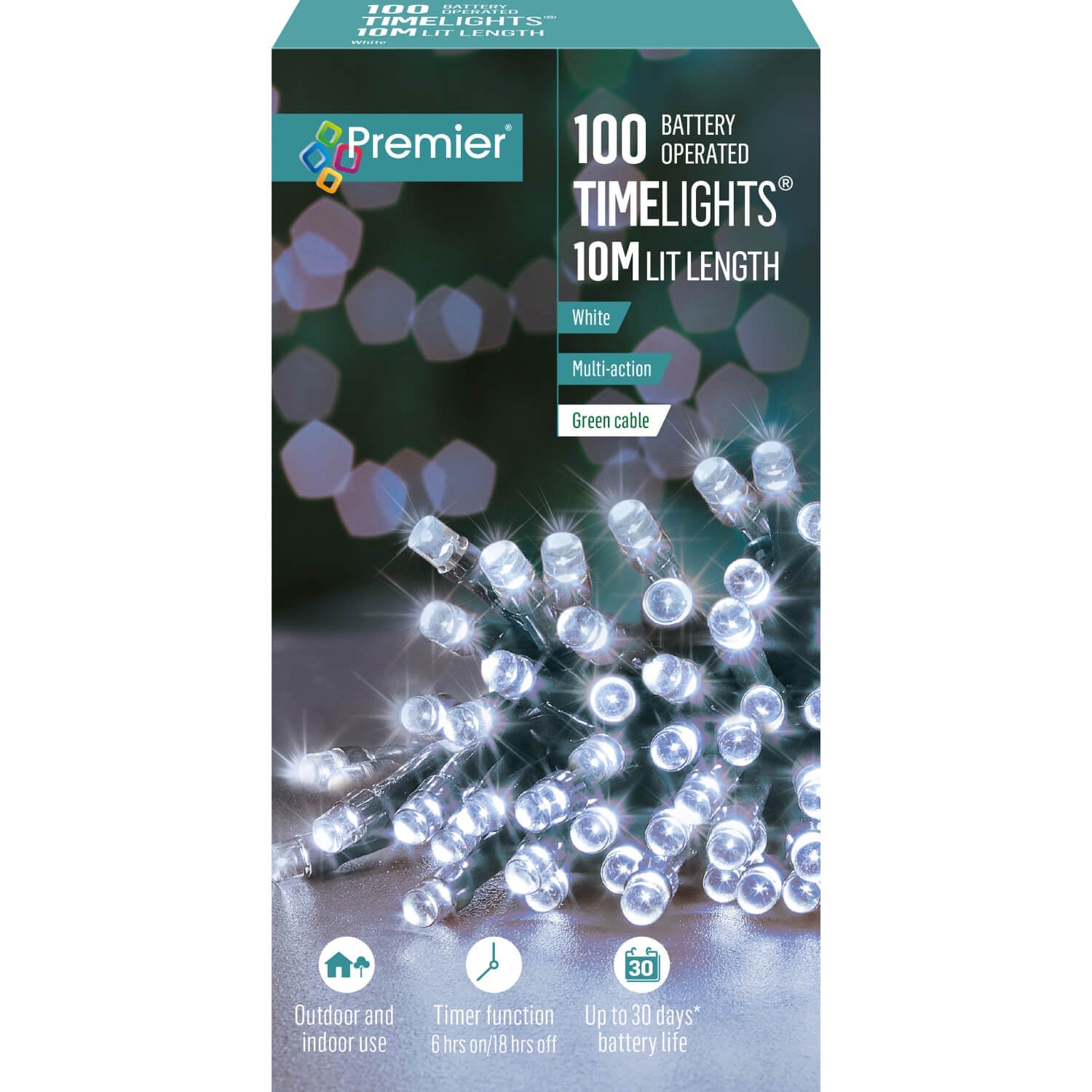 Buy Premier Christmas | Time Lights 10 Metre 100 LED Lights - White ...