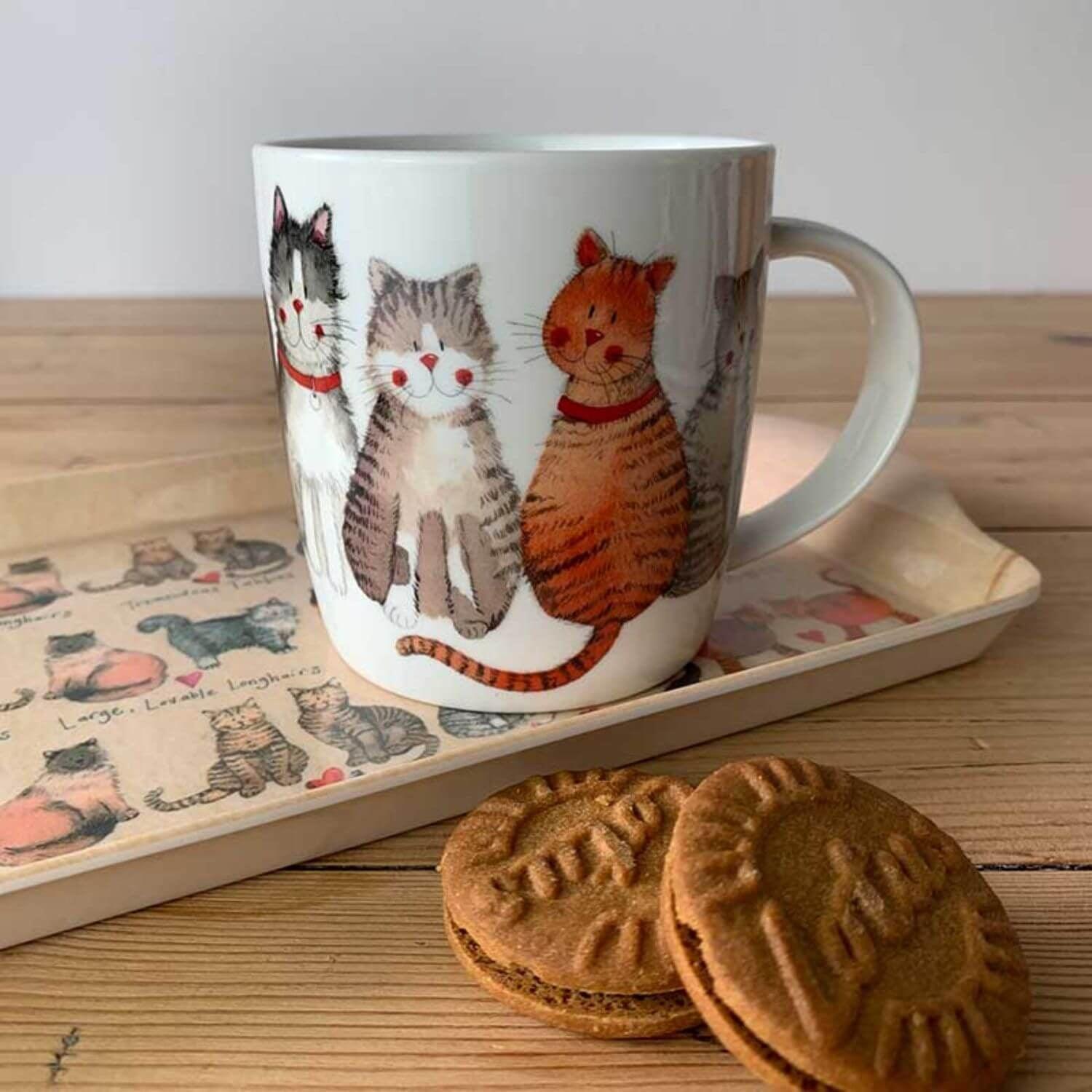 Buy Alex Clark | Mug - Marvellous Moggies – Potters Cookshop