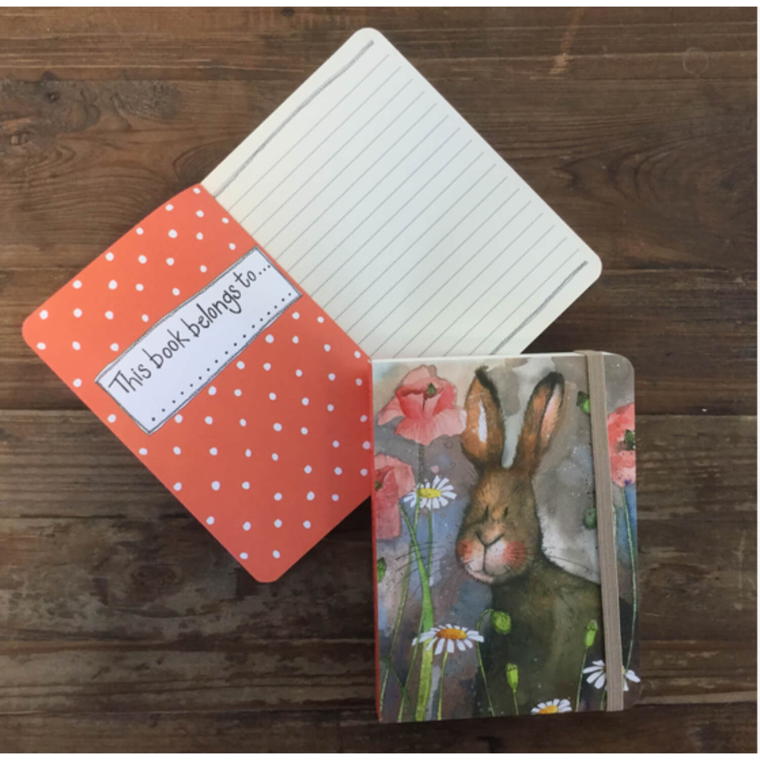 Buy Alex Clark | Small Chunky Notebook - Hare – Potters Cookshop