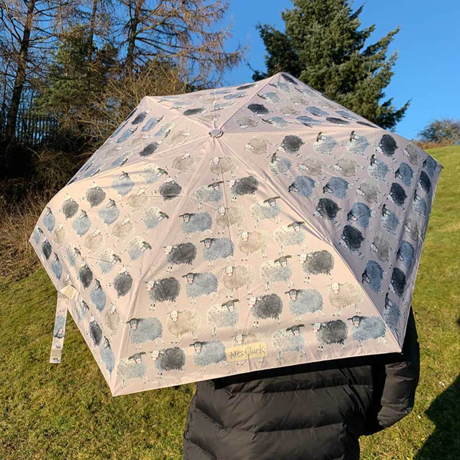 Buy Alex Clark | Umbrella - Sheep – Potters Cookshop